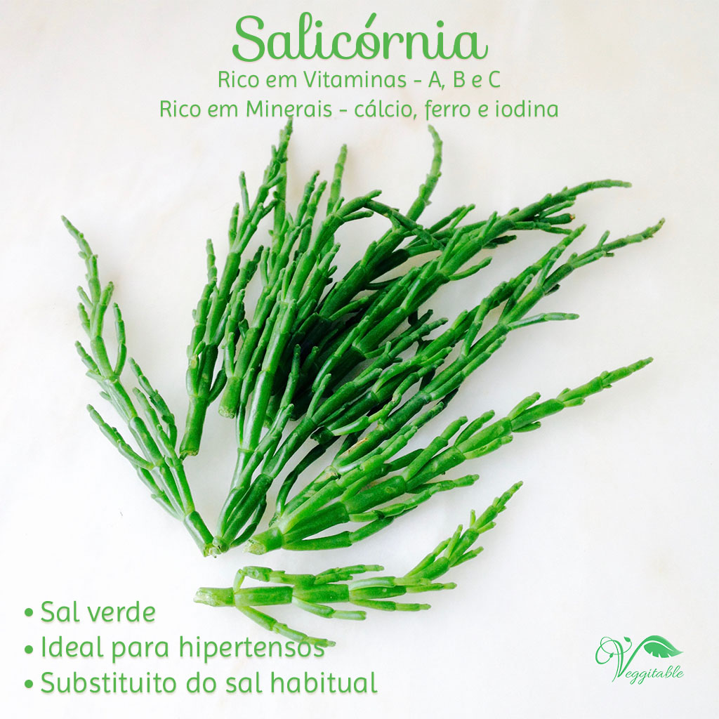 Salicórnia – Veggitable